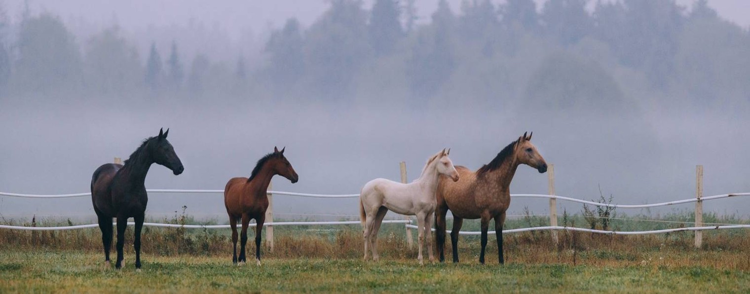 КСТП "Карамат"