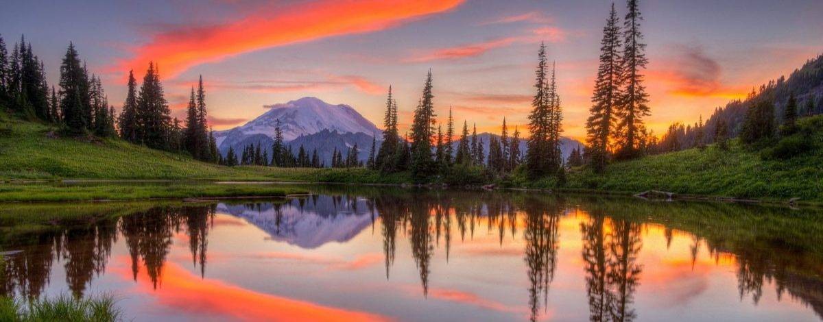 Петр Николаев