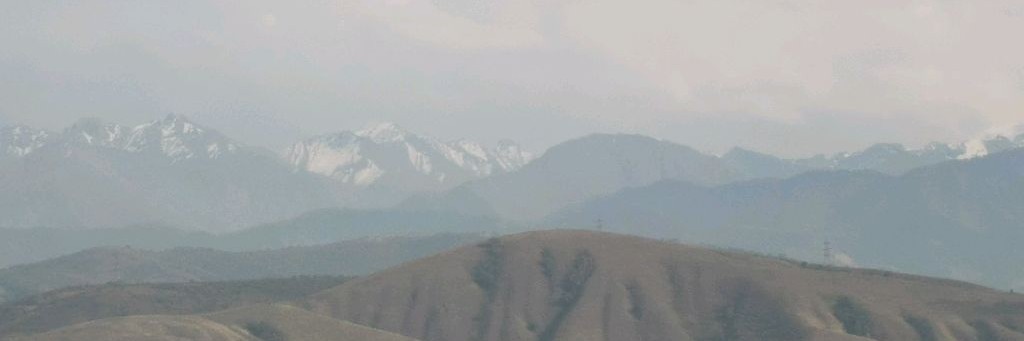 Регрессии Души