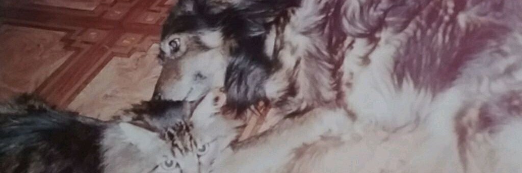 Оксана Рыбаченок. channel38903382