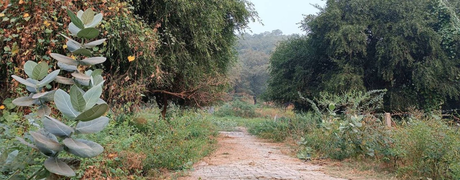 Репортажи из Враджа.