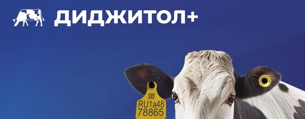 Диджитол+