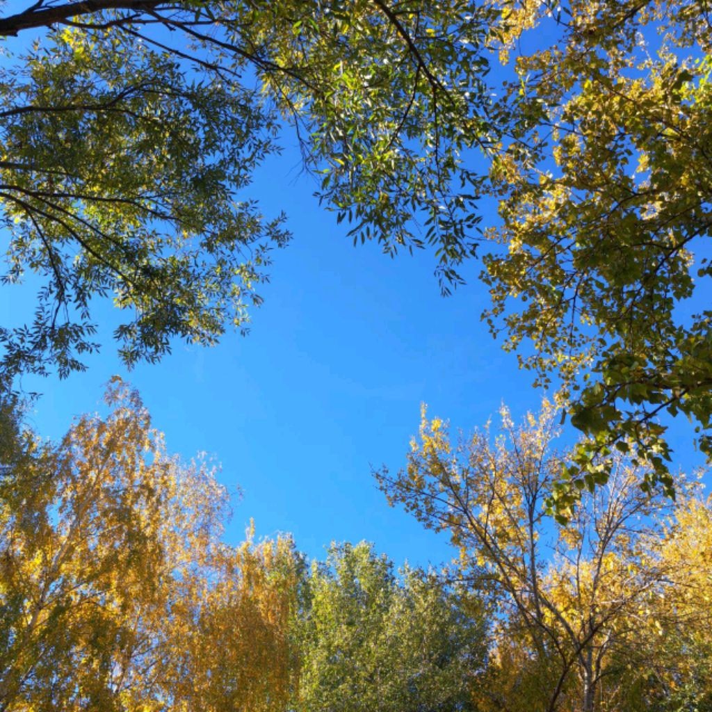 Когда не скучно - некогда скучать.