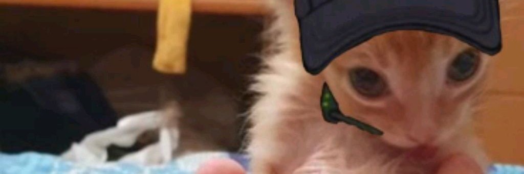 Its toodles 🐾🍭