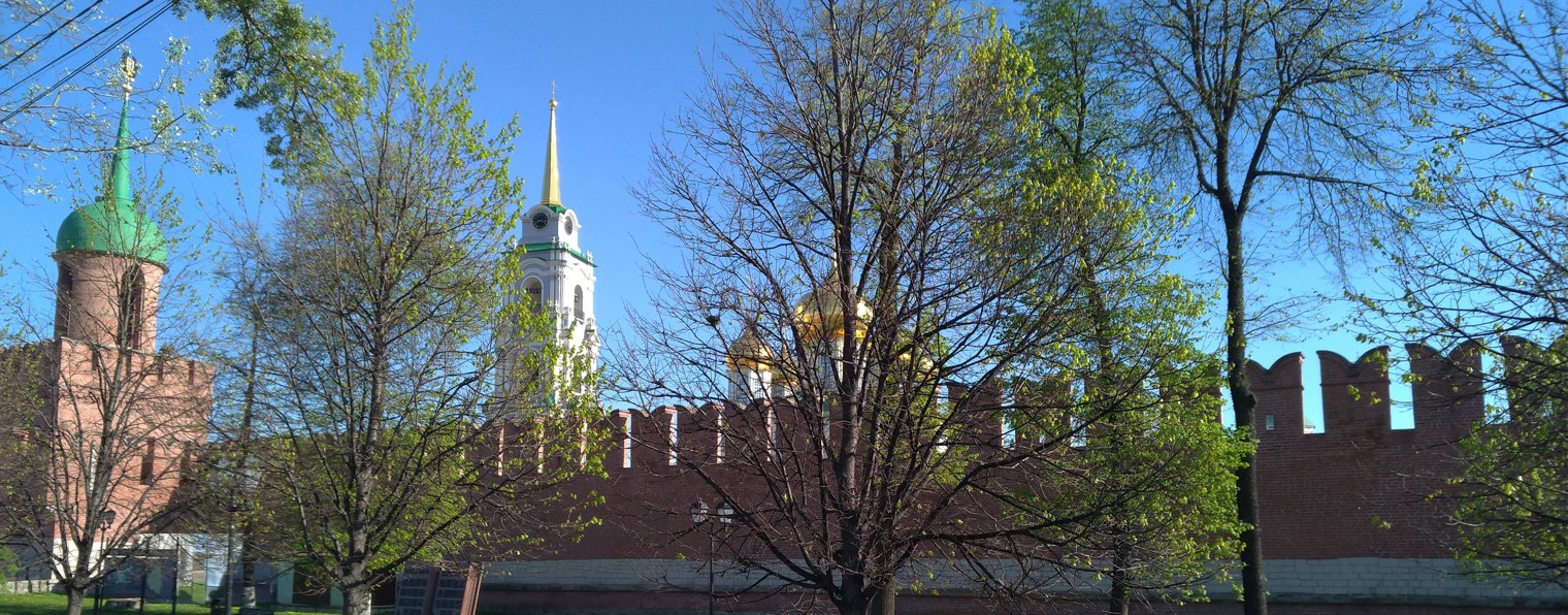 Книжное поле