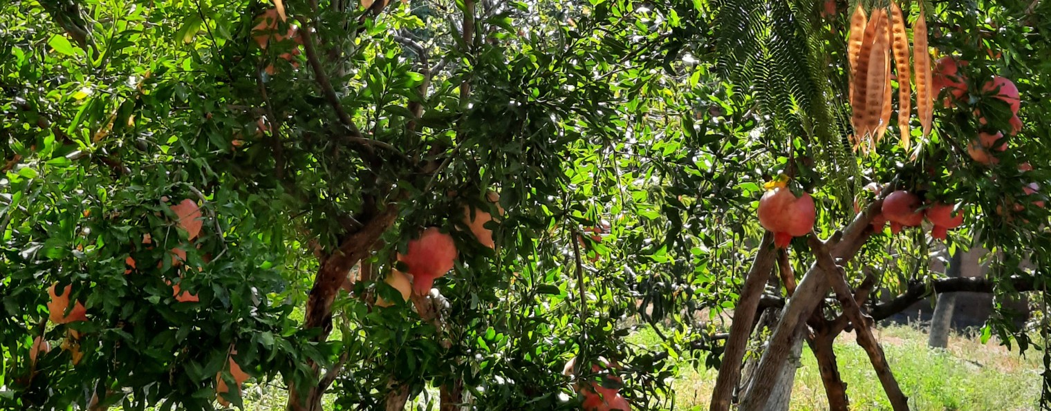 Жанна.Школа личностного роста