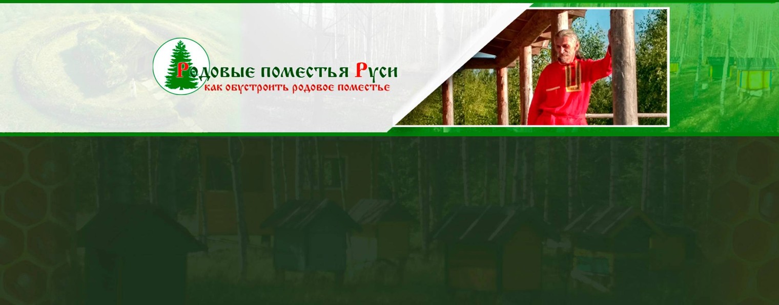 Александр Костерин