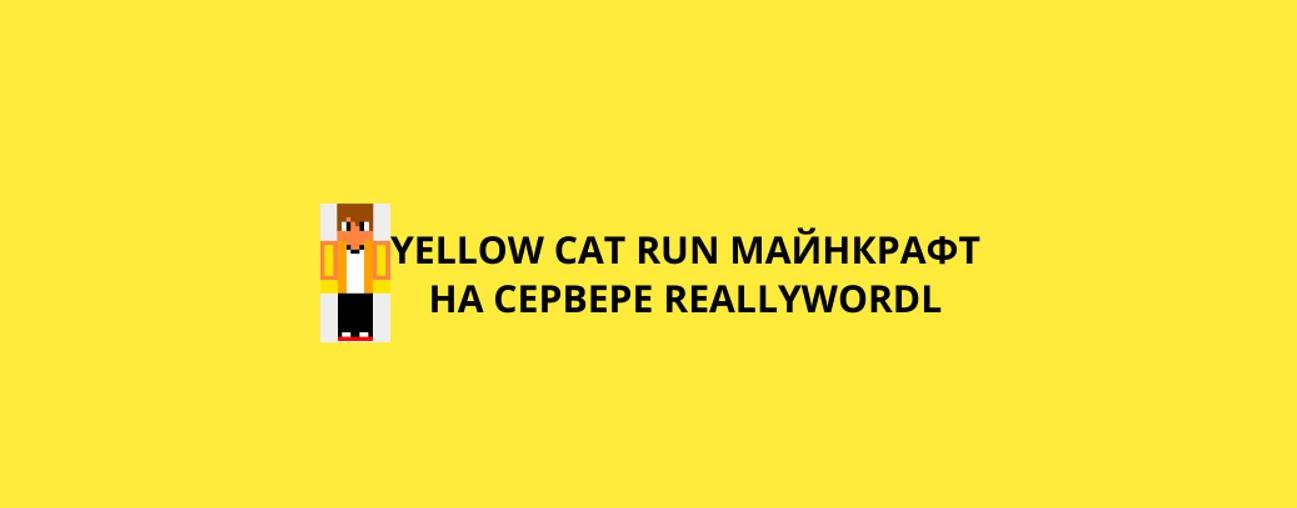 Yellow cat Run