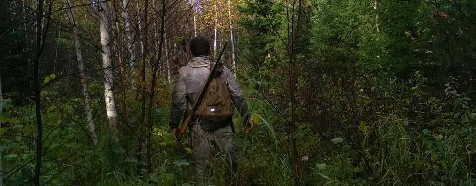 Сибиряк Иваныч