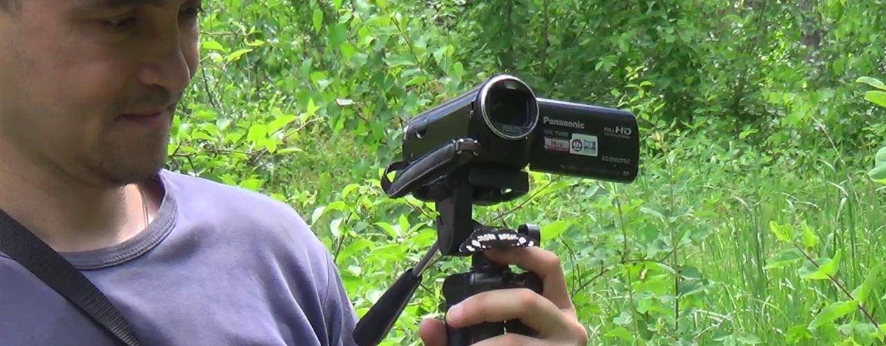 21Н77 Альбом Насекомых