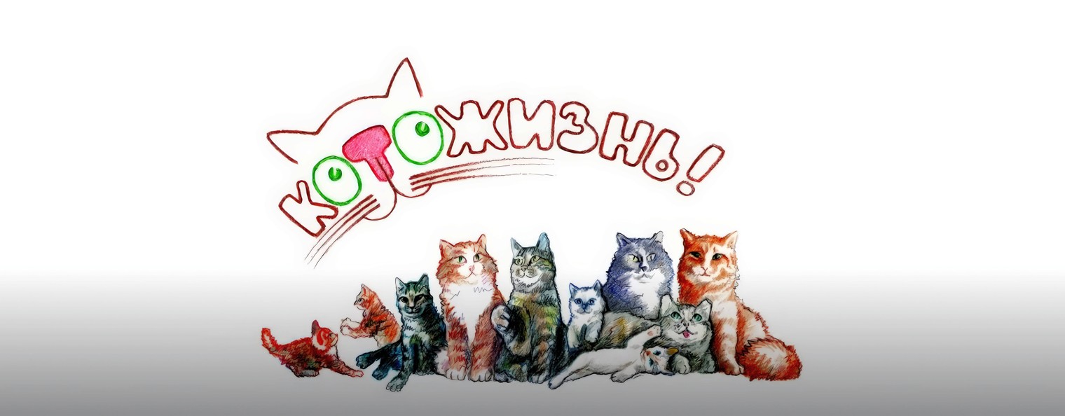 КотоЖизнь 2.0