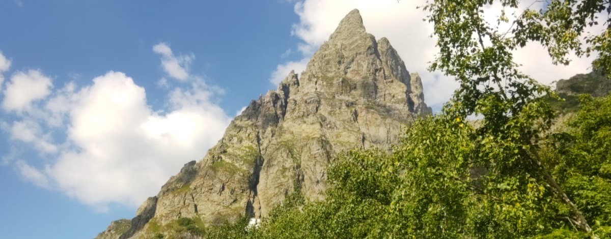 Шабанова Дарья