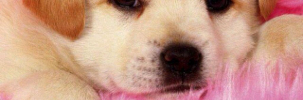 Виноградик🩷🩷🩷