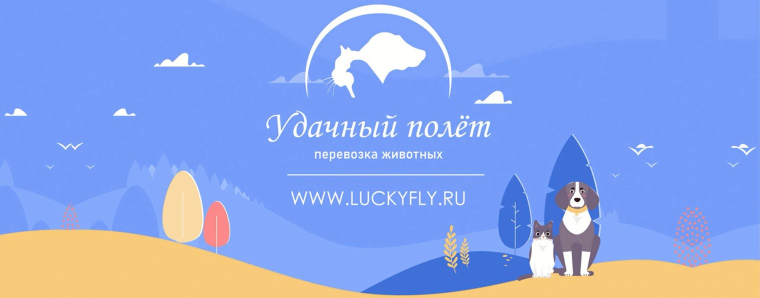 Компания "Удачный полёт"