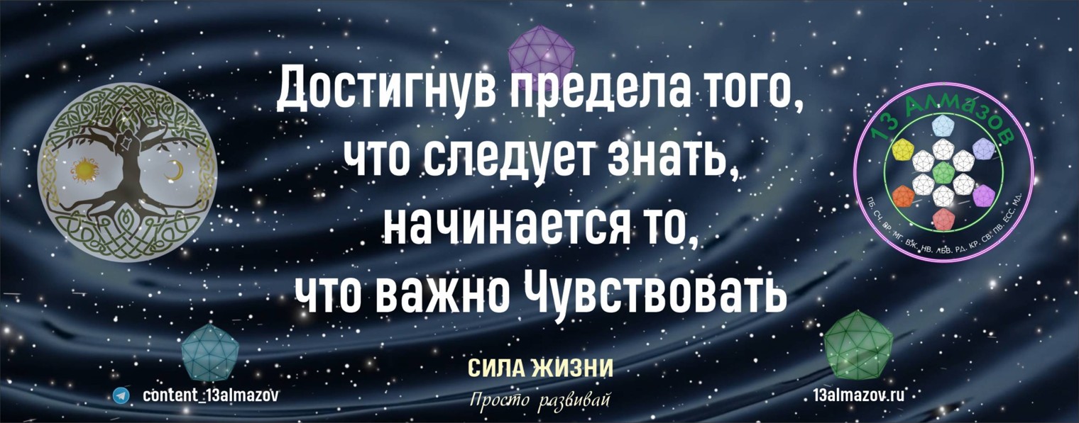 Академия СЖ | 13 Алмазов