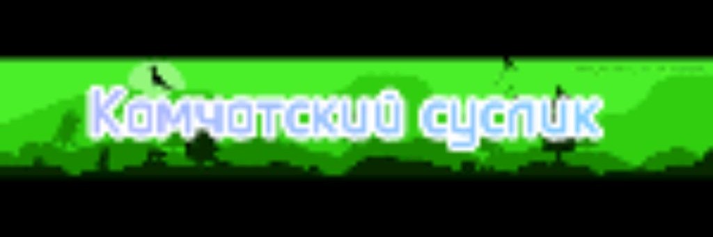 Камчатский суслик