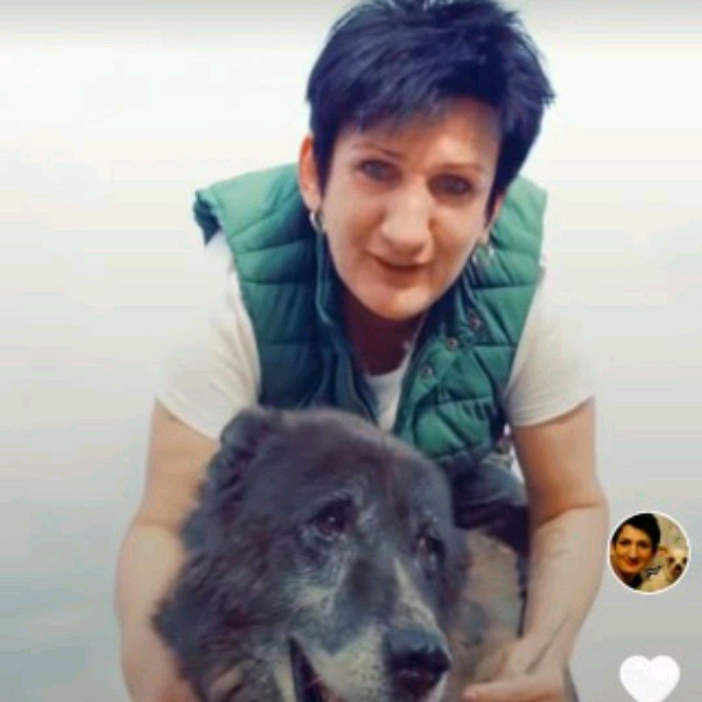 Дом для собак Васильки