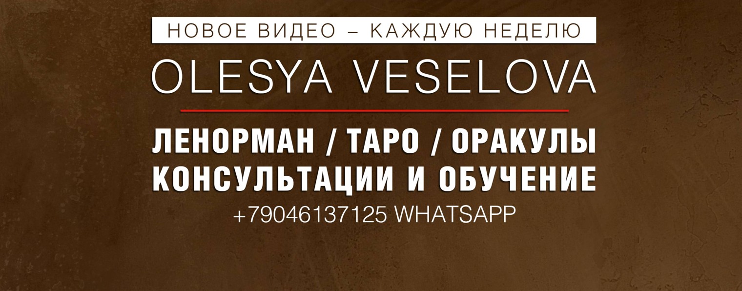 Олеся Веселова | БЕЛАЯ СОВА