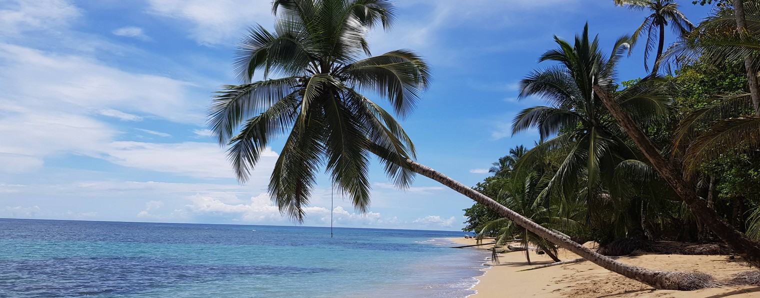 Olga Markelov Ольга channel43996578