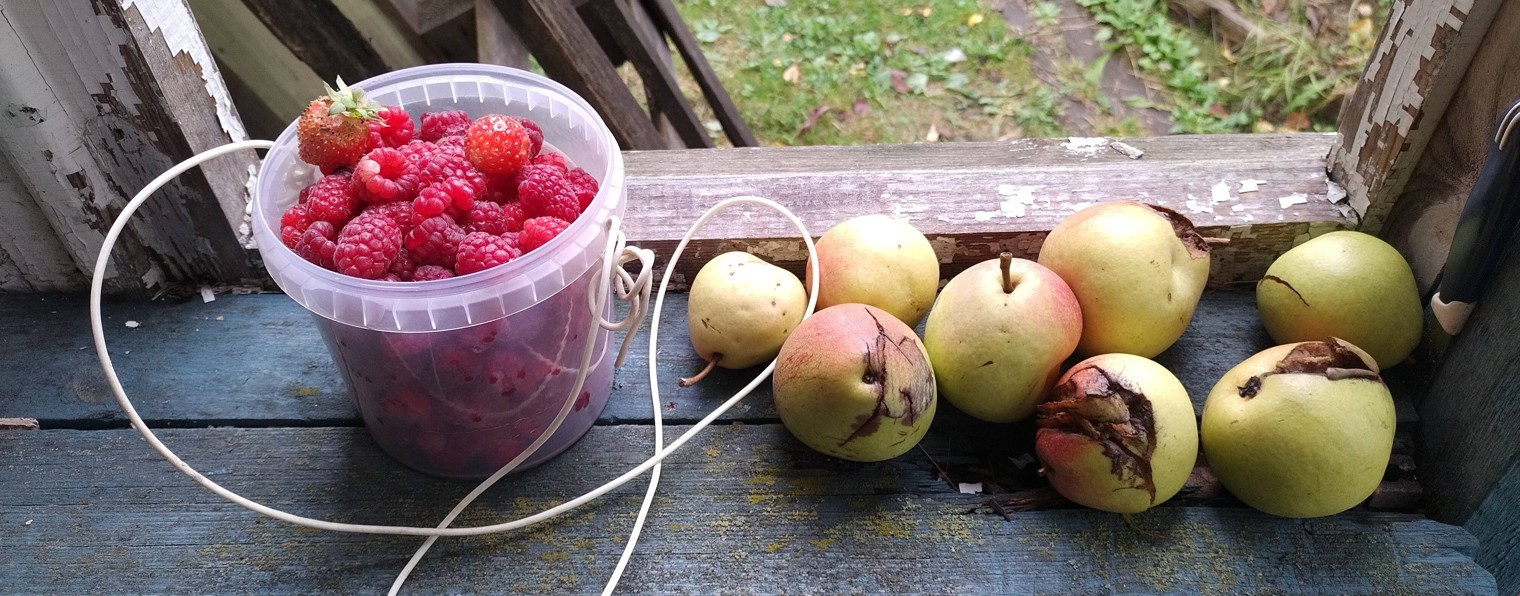 Я скучаю по душе. Николь Колина