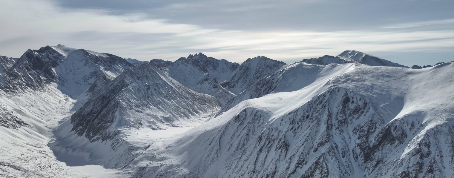 Межрегиональная Ассоциация "Ирбис"