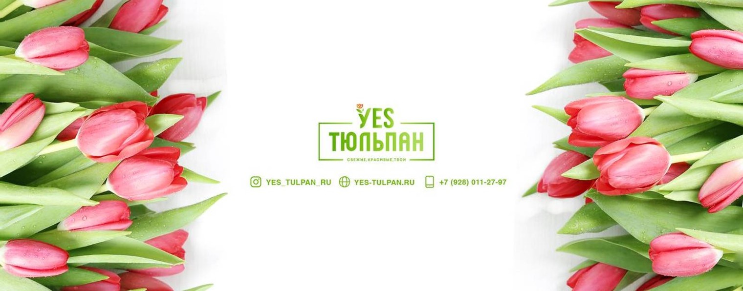 Yes тюльпан 🌹 ( тюльпаны оптом )