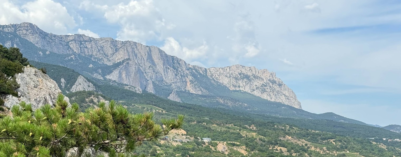 Разумный Выбор