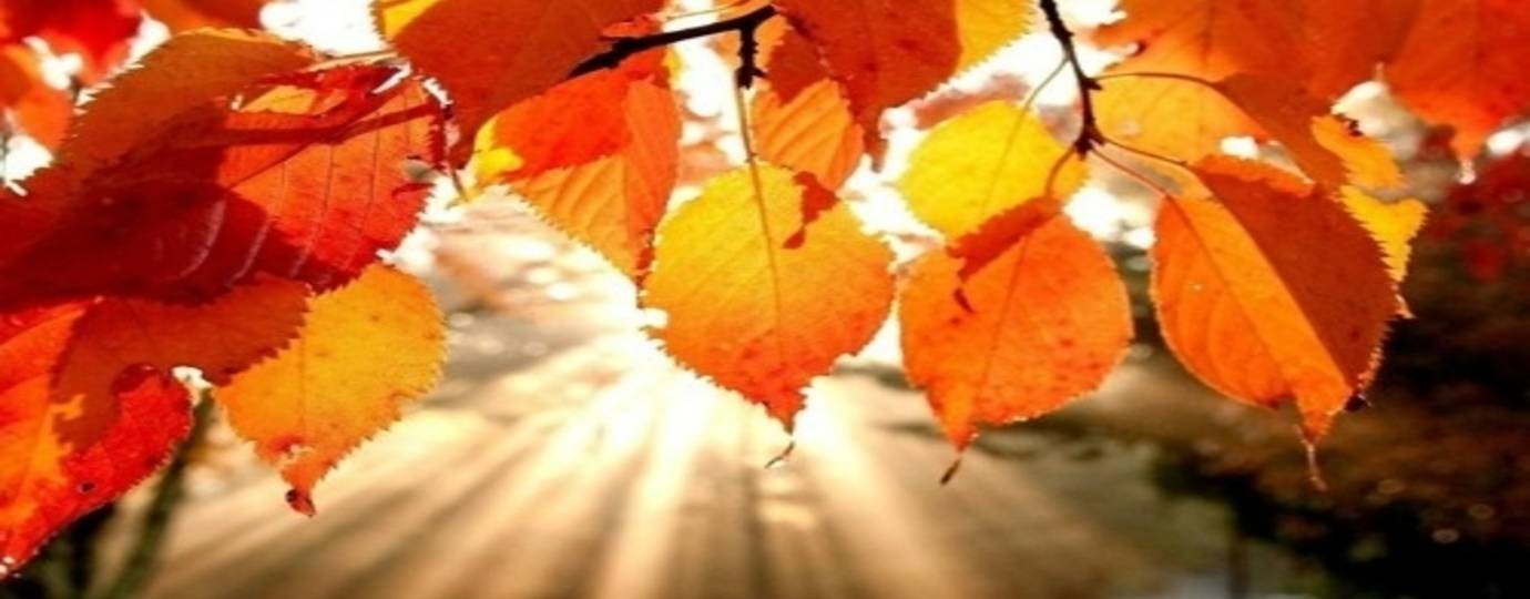 Поет Аксенова Вера