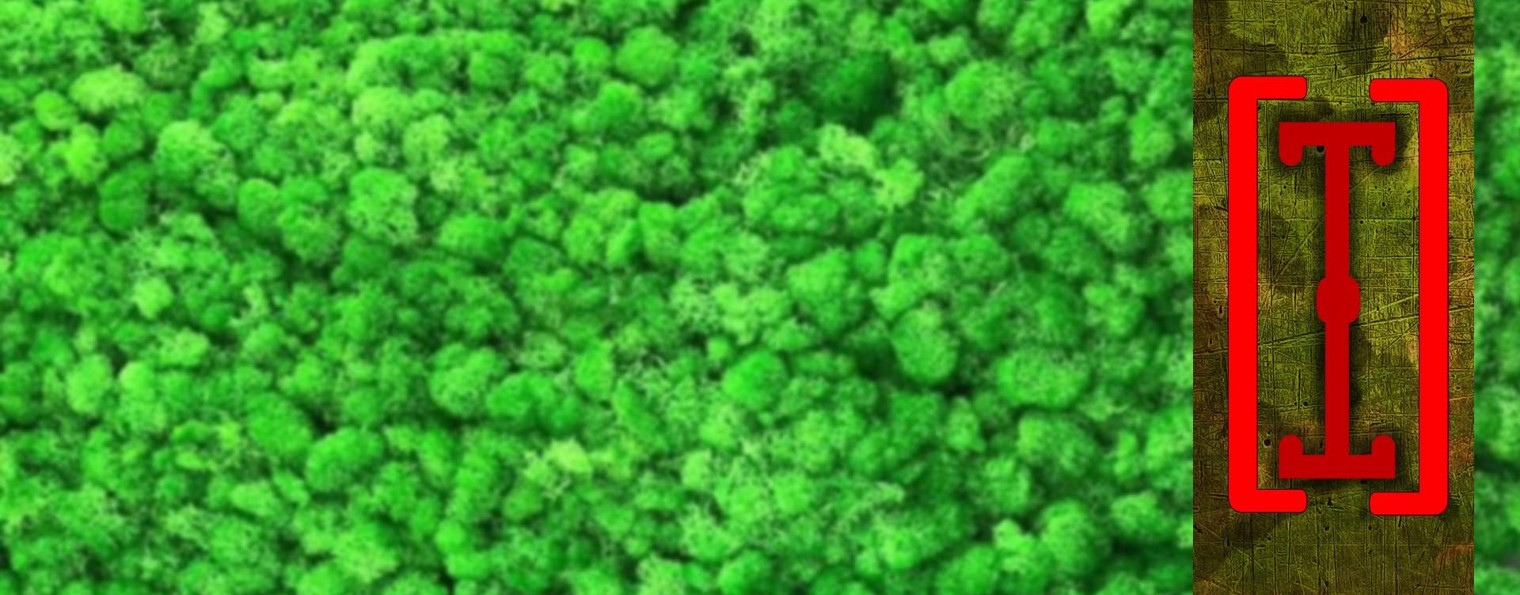 Первая линия помощи - TacTouris