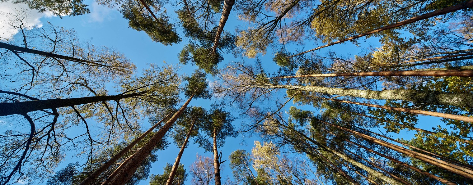Глубина цвета