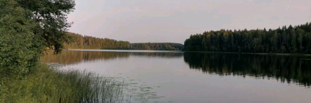 Fish Wind