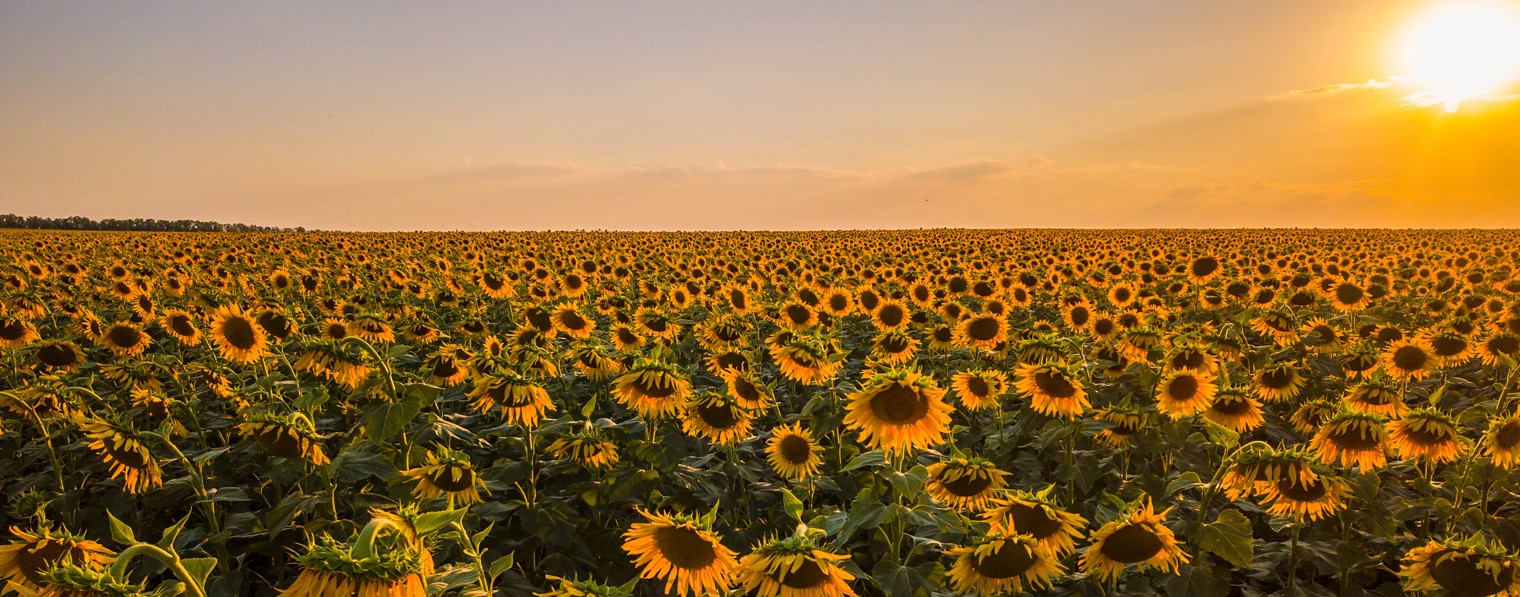 Андрей Гусев