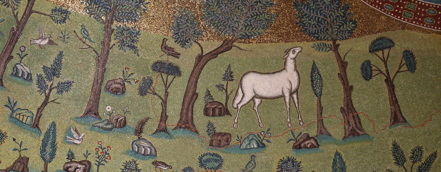 Река Смородина