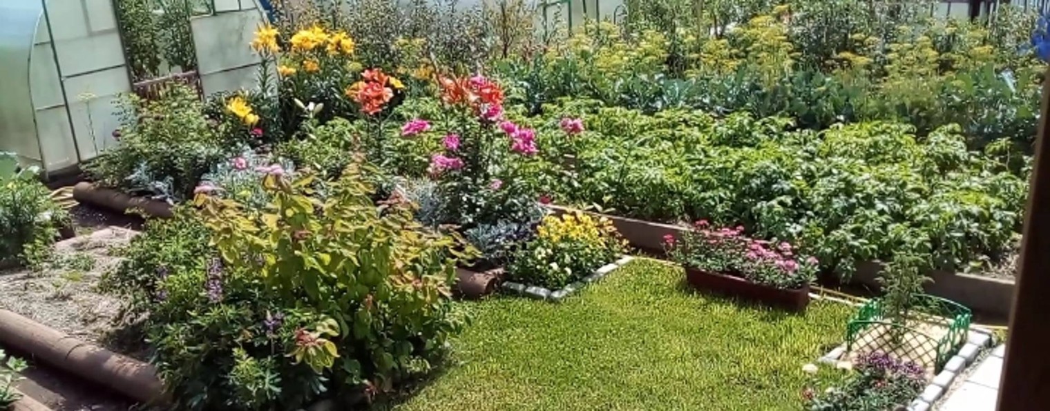 На Солнечной стороне