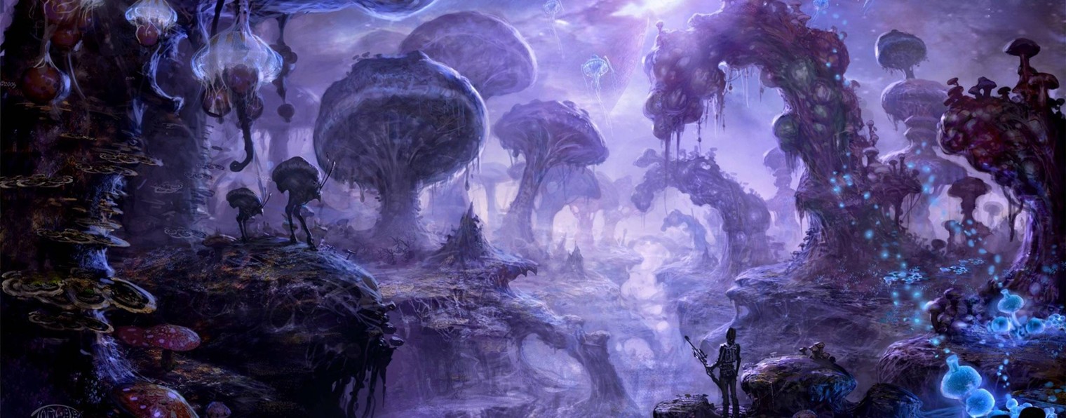 Михаил Кулибин