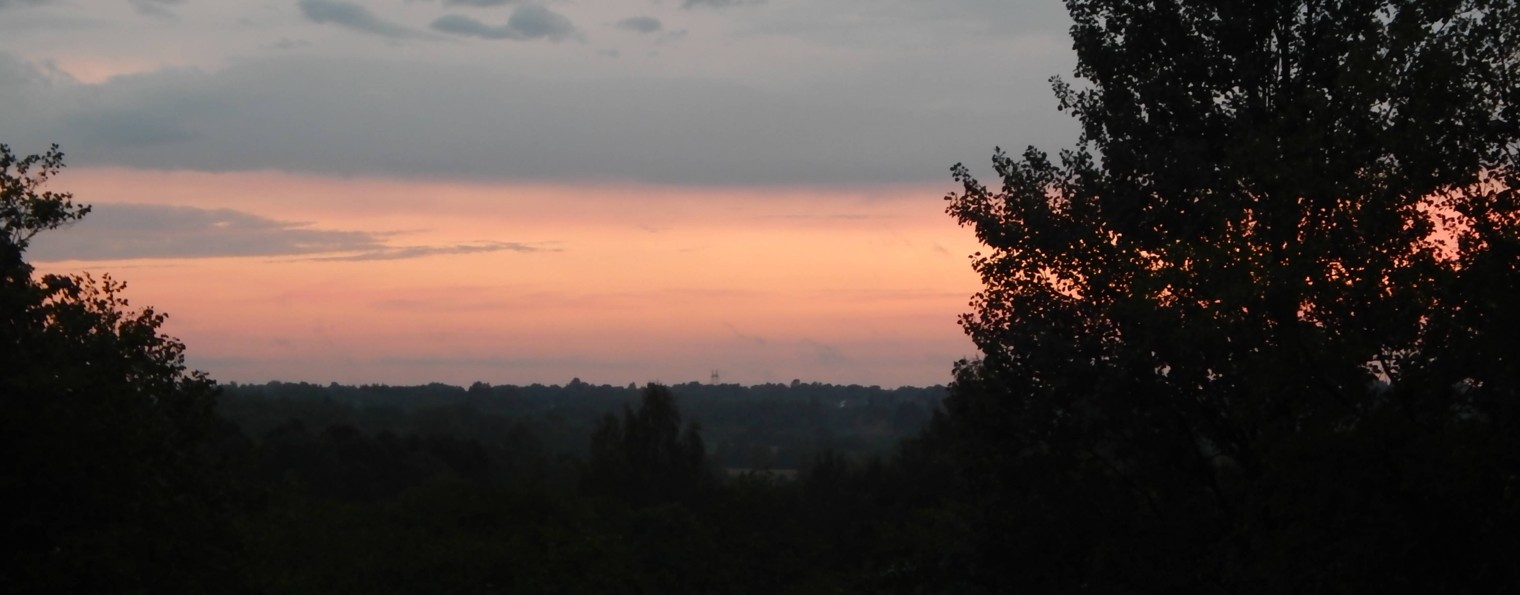 ДОМ ВОЗРОЖДЕНИЕ