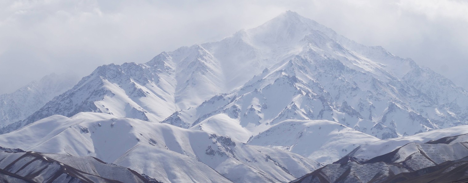 Виктор Хоменко