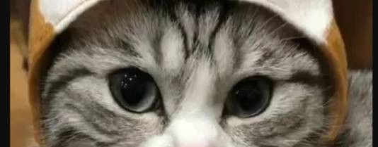 би-бой Филат