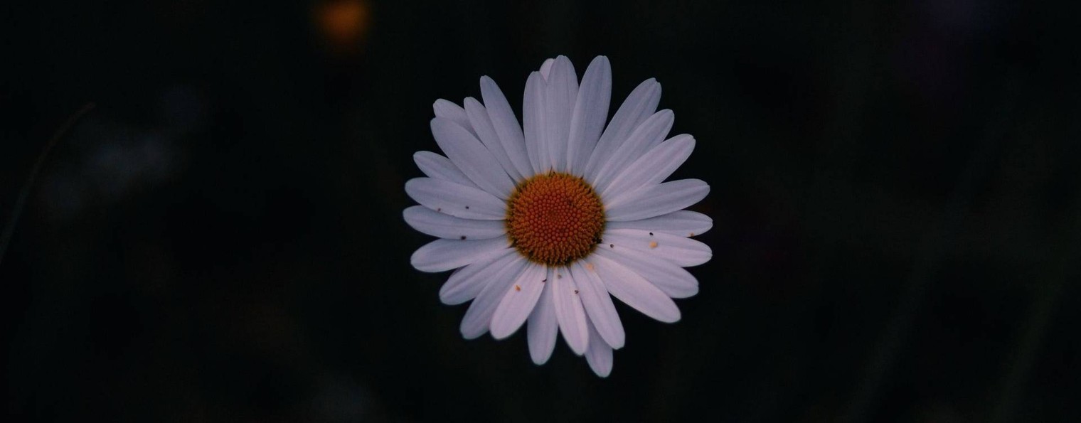 Трощей Юрий Игнатьевич