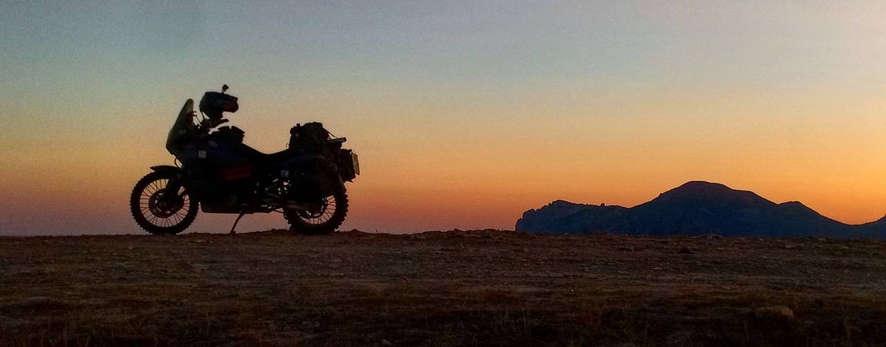 Апельсиновый Волк