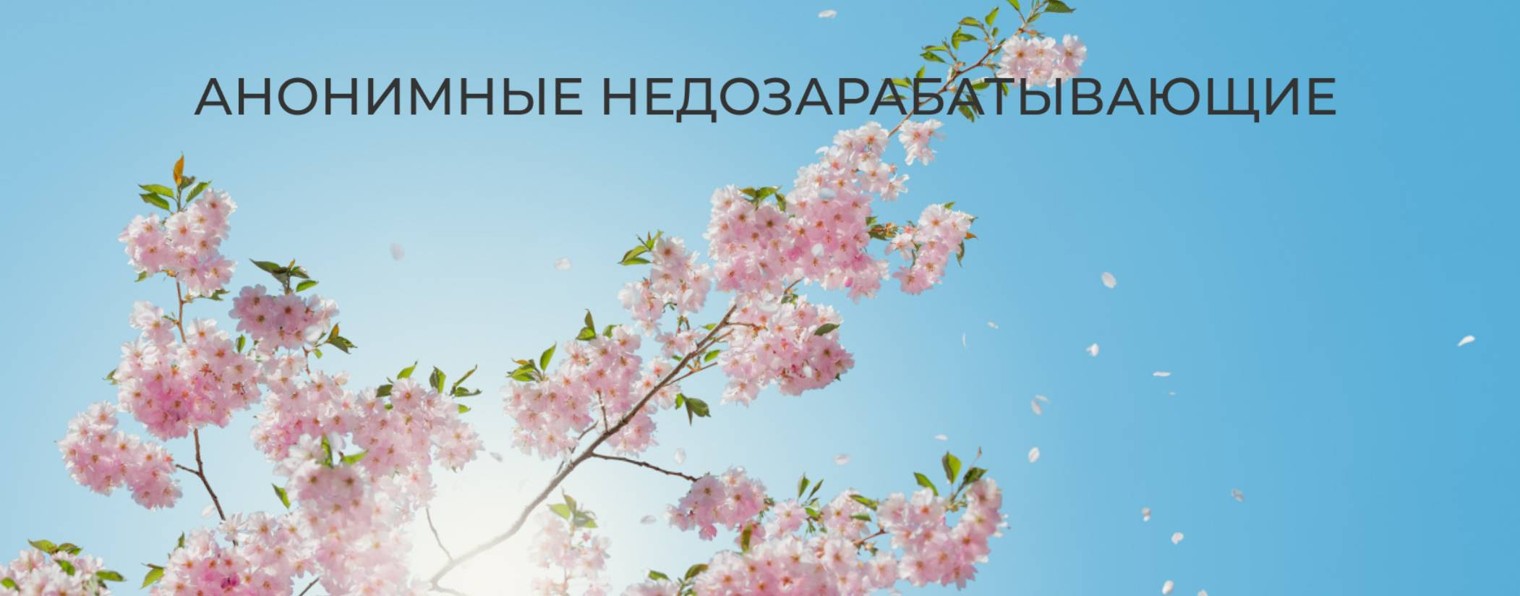 АНЗ Анонимные недозарабатывающие 12 Шагов