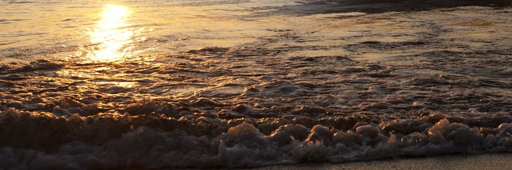 ᐯᗩᗪIᗰ  KOᐯᗩᒪSKIY