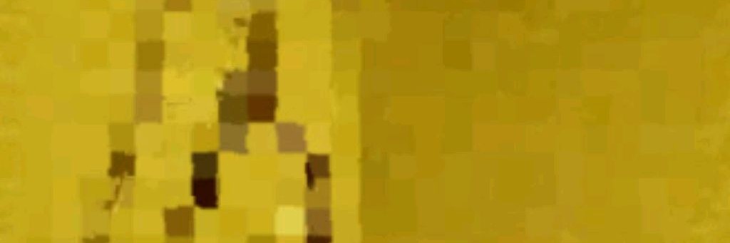 Тимуря камирамен