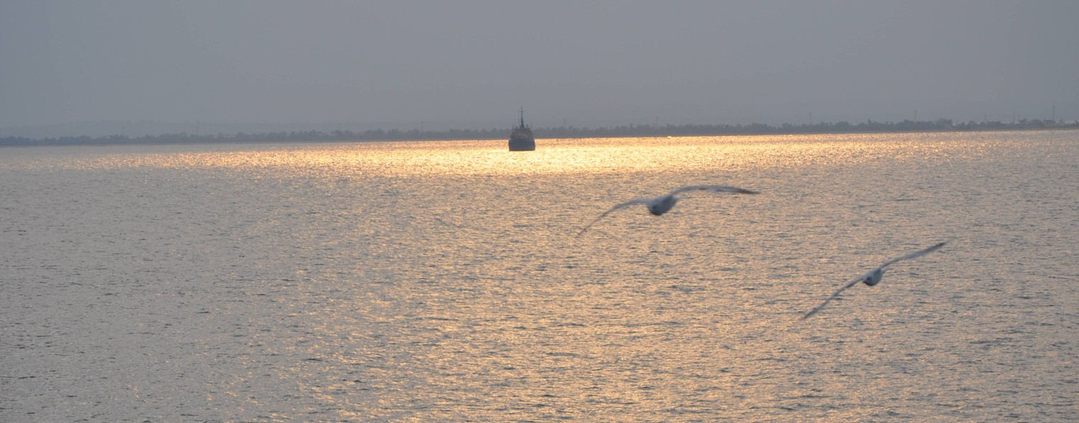 Виктор Моргунов. "Чёрный Принц".