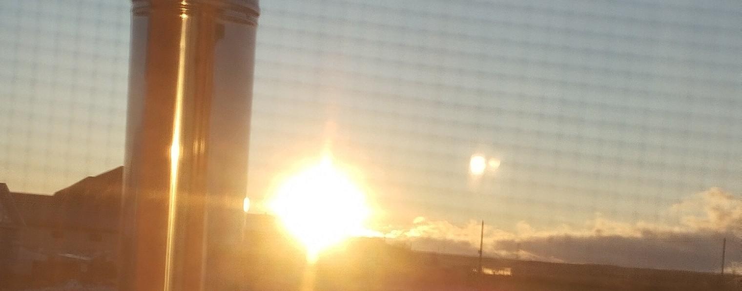 🐚Дилька Сайт🐚