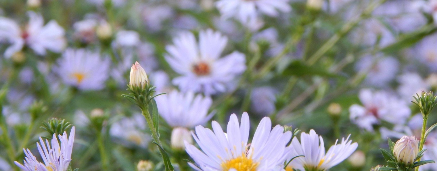 Жизнь старшеклассницы