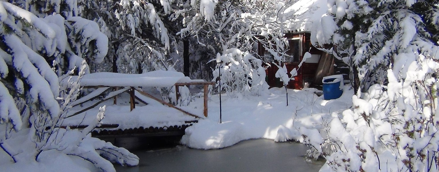 Домашняя дизайн студия Снегири
