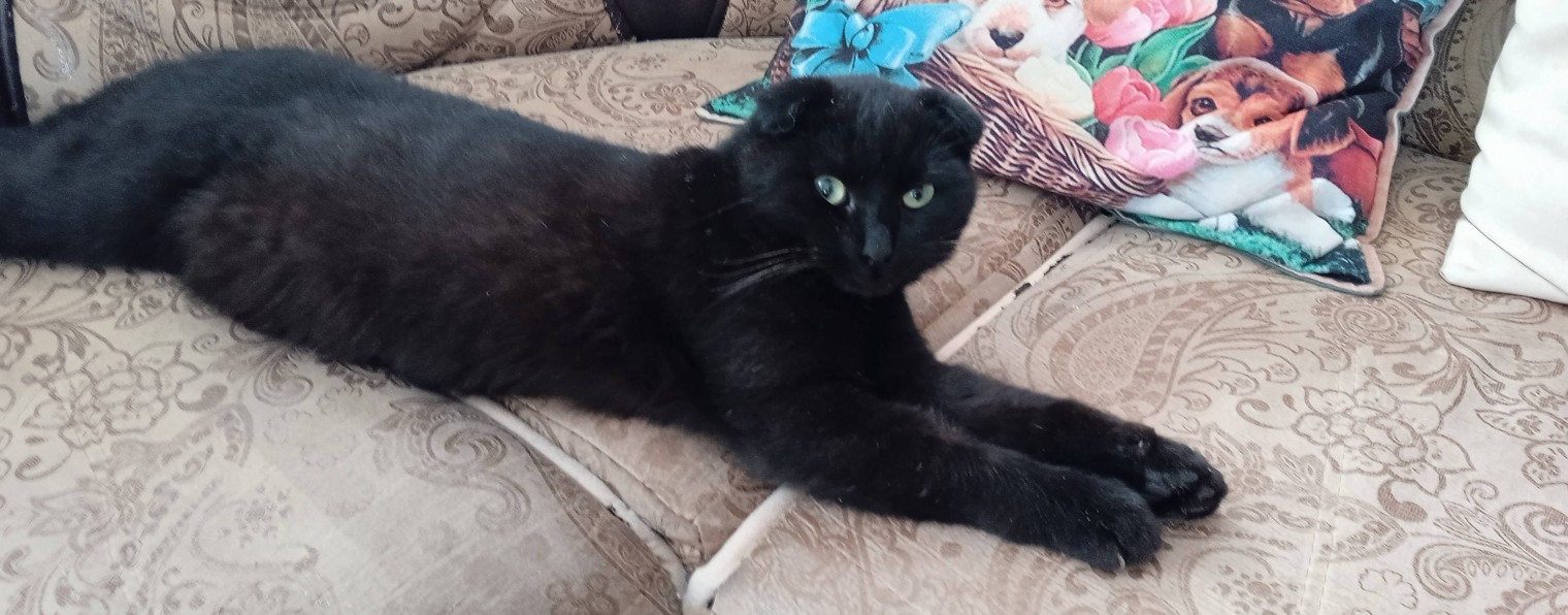 Мартовские голоса