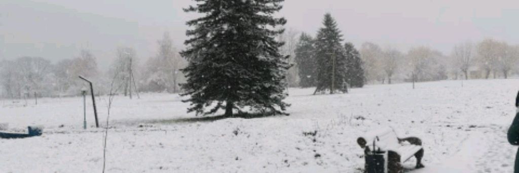 Оля Кроля