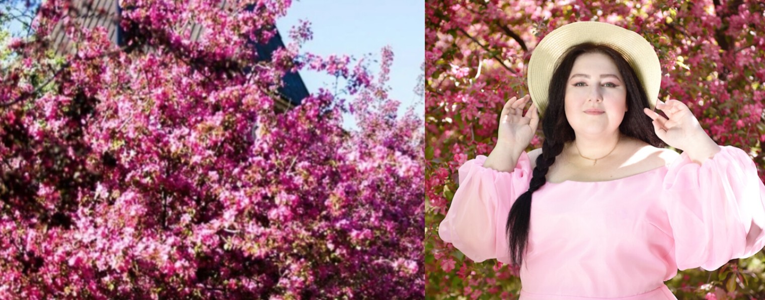 Коварная Золушка